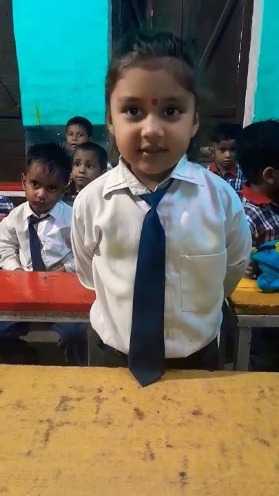 Basic Question Generalquestions Question Prenursery Nursery