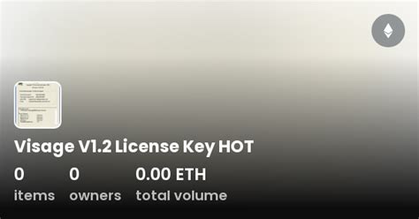 Visage V License Key Hot Collection Opensea