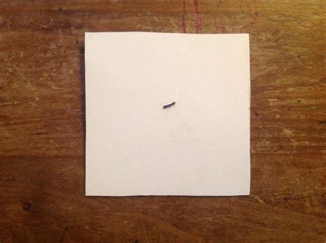 How To Make A Pocket Sized Secret Code Decoder Wheel 7 Steps