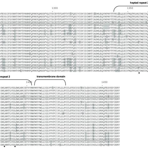 Sequence Alignment Of The Putative Fusion Peptide And Adjacent Heptad