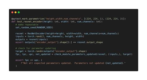 Unit Testing Machine Learning Code In Ludwig And Pytorch Tests For Gradient Updates Predibase