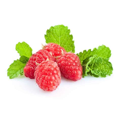 Raspberry Mint Iced Tea Steeped Street