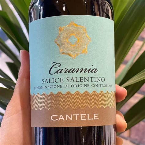 Rượu vang Ý Caramia Salice Salentino Giá Rẻ Thế Giới Rượu Ngon