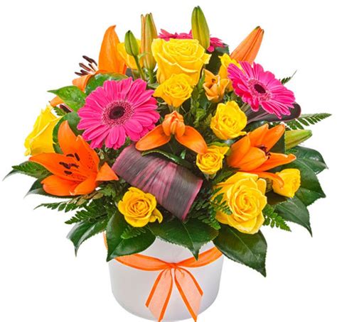 Viva Floral Devinehttps Static Wixstatic Media 3abe48
