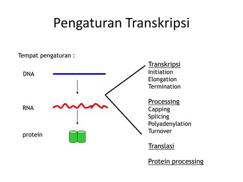 Ppt Transkripsi Powerpoint Presentation Free Download Id 2226608