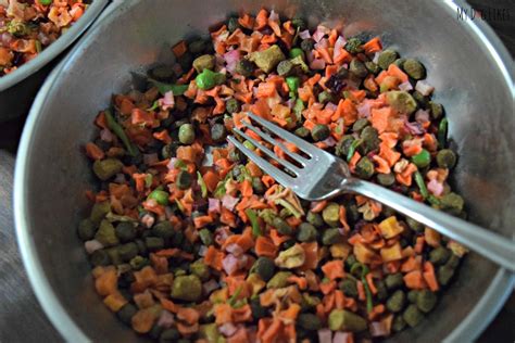 Doc Knows Best Dr Harveys Dog Food Review