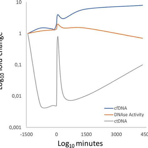 Schematic Course Of Cfdna Dnase Activity In Plasma And Circulating