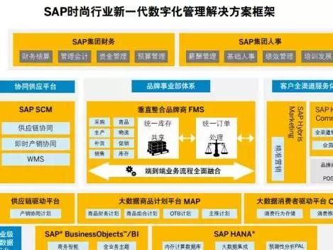Sap