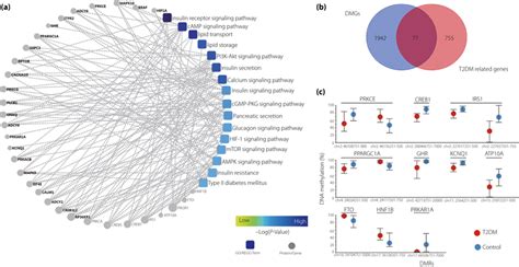 A A Protein Protein Interaction Network Model Was Generated Using The Download Scientific