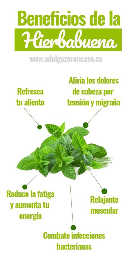 Pin En Alimentación Saludable