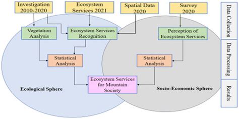 Ecosystem Services And Linkages Of Naturally Managed Monotheca