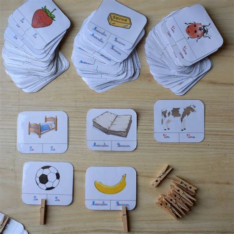 PDF gratuit 162 cartes à pinces à imprimer grammaire féminin