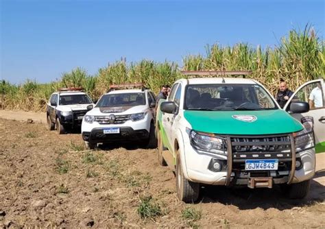 Corpo não identificado é encontrado em área rural de cidade da região São Carlos em Rede