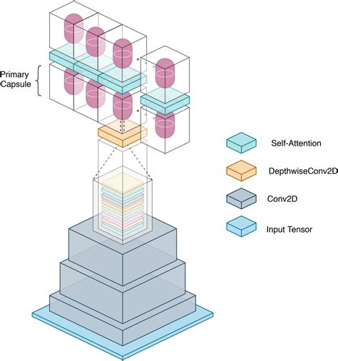 github akhdanfadh efficient capsnet pytorch pytorch implementation