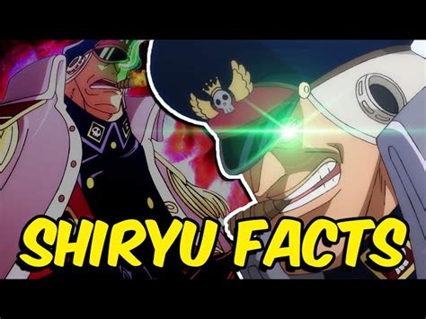 Shiryu One Piece Wiki Fandom 41 Off