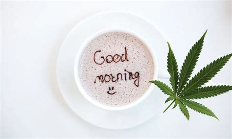 The Best Strains For A Wake And Bake Surrey Weed Delivery