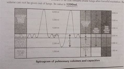 Volume Can Not Be Given Out Of Lungs Its Value Is 1200ml Spirogram Of P