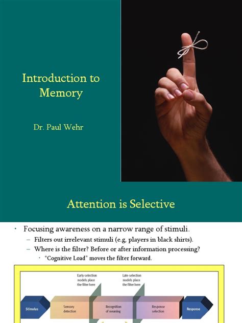psych 101 memory pdf recall memory memory