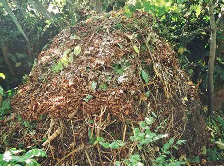 Methods Of Composting For Any Budget Or Space No Waste Nutrition