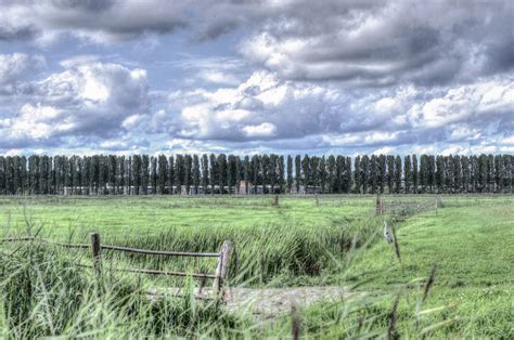 フリー写真画像 緑の草、空、風景、自然、フェンス、フィールド、木、田舎
