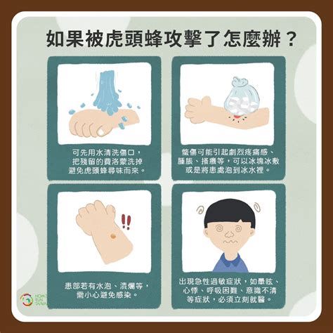 【錯誤】被蜈蚣咬傷或蜜蜂螫傷用熱水和鹽處理？不實說法！專家詳解正確觀念