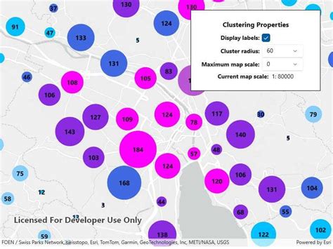 Configure Clusters Arcgis Maps Sdk For Net Esri Developer