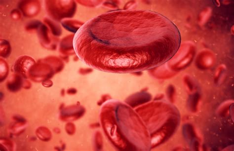 Rbc Eritrosit Alyuvar Nedir Rbc Düşüklüğü Yüksekliği Normal Değeri Sağlık Haberleri