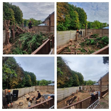 Areas Covered Tree Surgery In West Sussex