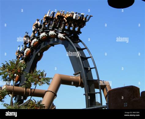 Rollercoaster Amusement Park Ride Amusement Park Excitement