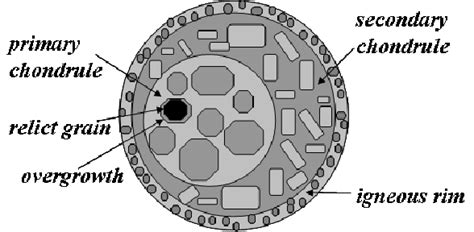 schematic diagram showing different kinds of evidence for multiple