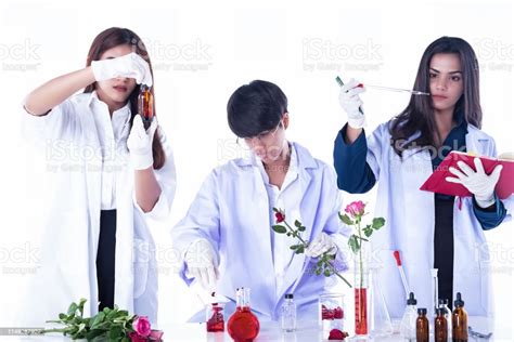 실험실에서 실험을 수행 하는 과학자 화학 및 자연 유기 추출 물에 연구원의 팀 실험실 테스트에서 방향족 필수 연구 Stem
