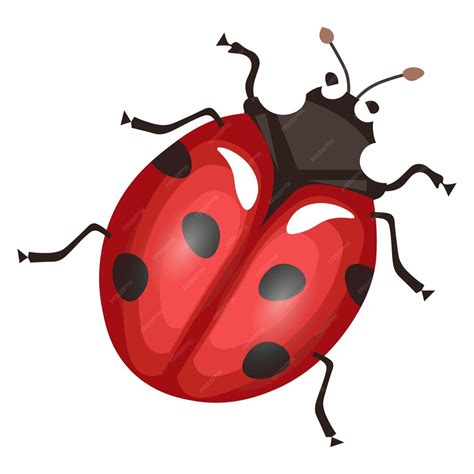 Premium Vector Ladybug Insect Icon Illustration Vector