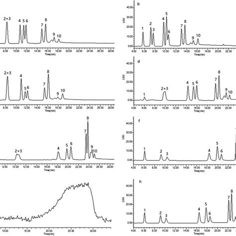 Influence Of Different Gradient Elution Conditions On Chromatographic Download Scientific