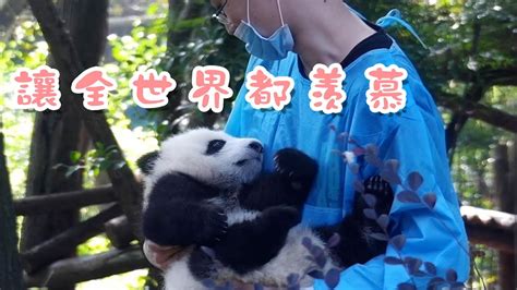 《熊貓早晚安》讓全世界都知道，我抱著最可愛的熊貓 Ipanda熊貓頻道 Youtube