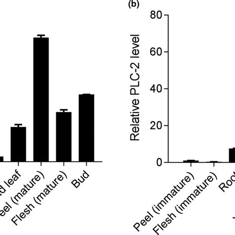 The Expression Levels Of The Plc‐1 Gene A And Plc‐2 Gene B In The