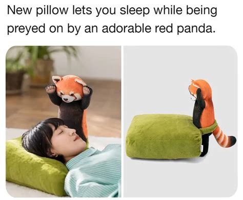 21 Heartwarming Memes To Brighten Up Your Long Blue Day