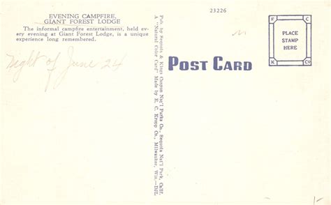 Vintage Postcard Sequoia National Park Evening Campfire Giant Forest