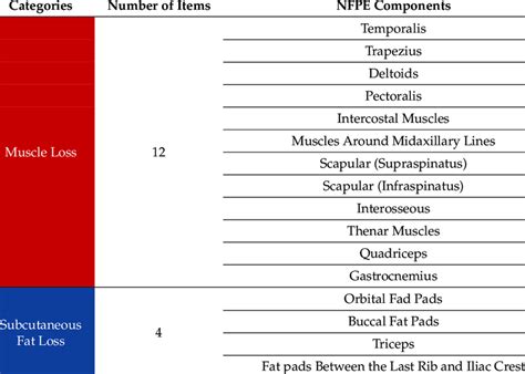 Summary Of 70 Nfpe Items Generated From Focus Groups Download