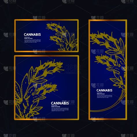 背景 绘画插图 叶子 矢量 高雅 健康保健 背景分离 药 模板 植物素材 花瓣网