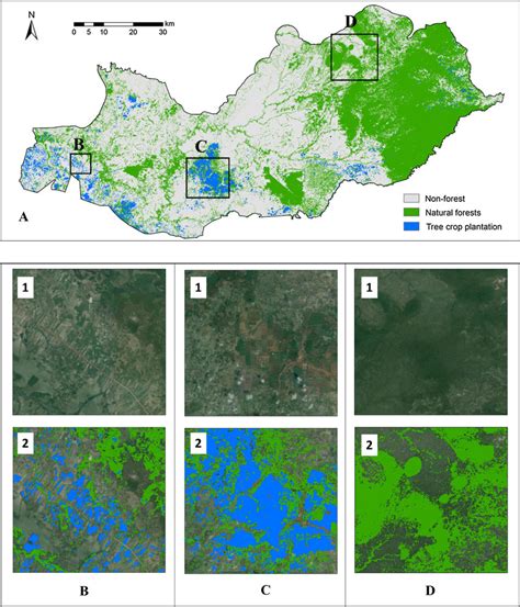Shapelet Based Forest Mapping Product For The Landsat 8 Image March Download Scientific