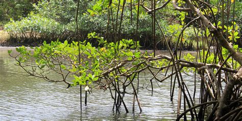 La historia y la ecología se unen en la Reserva Natural Hacienda La
