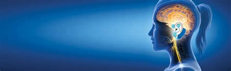 Fda Classification Ib Stim