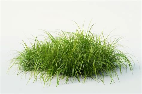 Premium Photo Green Grass Isolated On White Background Illustration
