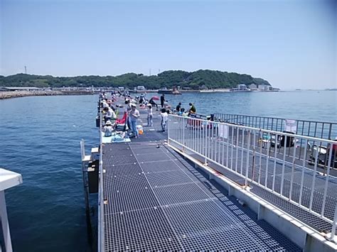 豊浜釣り桟橋のサビキ釣り ちゅらのきもち