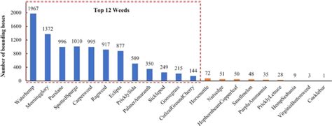 Bar Plot Of The Cotton Weed Detection Dataset Consisting Of 5960 Images