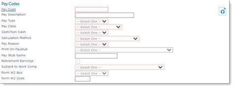 Working With Pay Codes