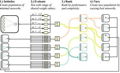 Overview Of Weight Agnostic Neural Network Search Weight Agnostic