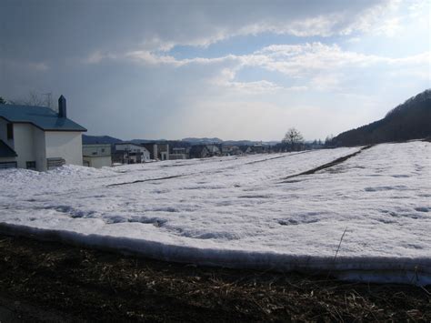 冬景色から雪解けの景色へ Be the change you wish to see in the world
