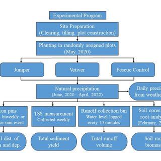 Flow Chart Illustrating The Materials And Methods For This Study Download Scientific Diagram