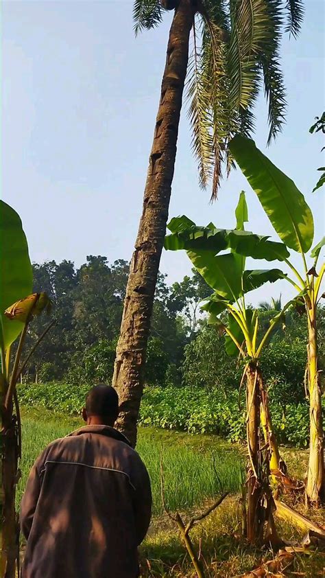 Md Sadikur Rahman Pollikhabar • Instagram Photos And Videos